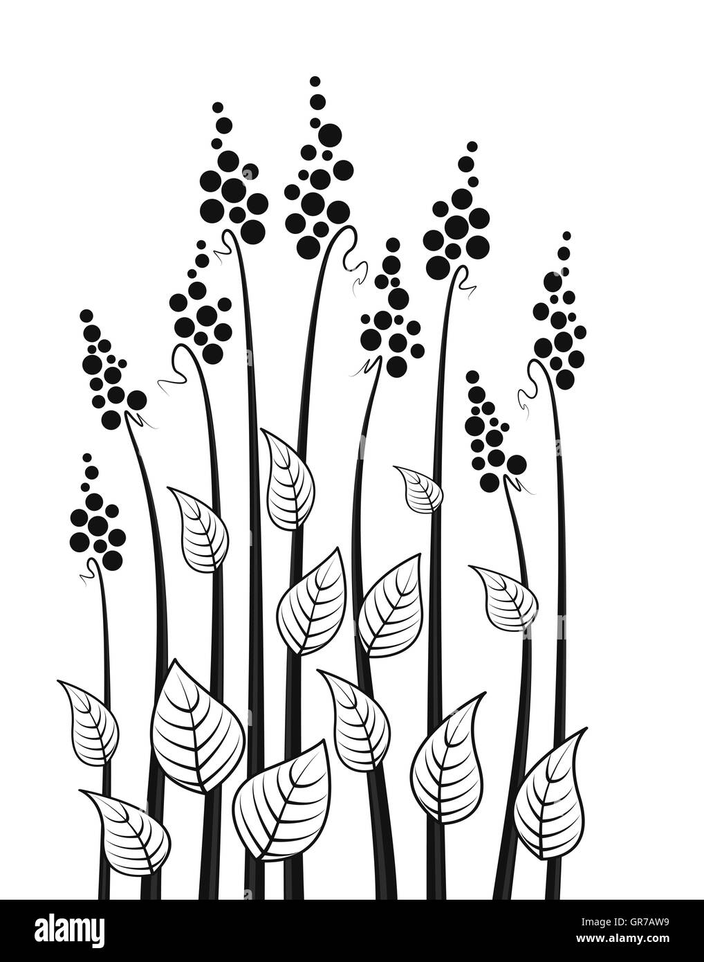 Organic wild field meadow Stock Vector Images - Alamy