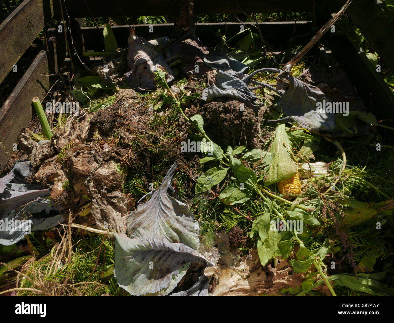 Compost earth for plant and farming Stock Photo - Alamy