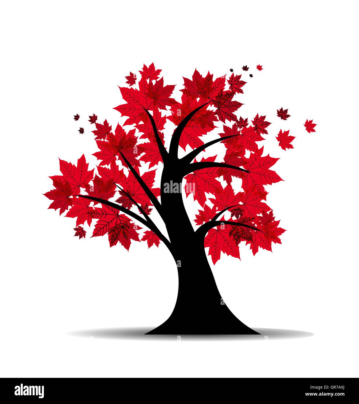 Vector maple tree Stock Vector Image & Art - Alamy