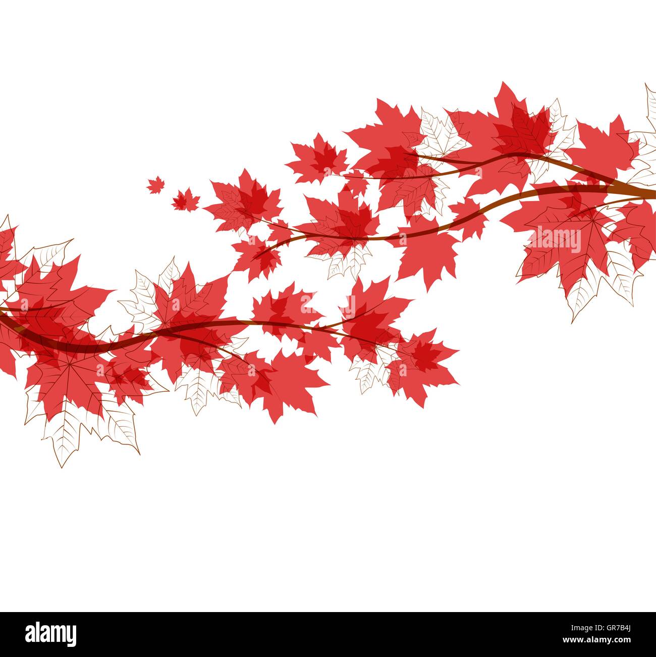 Vector autumn leaves Stock Vector Image & Art - Alamy