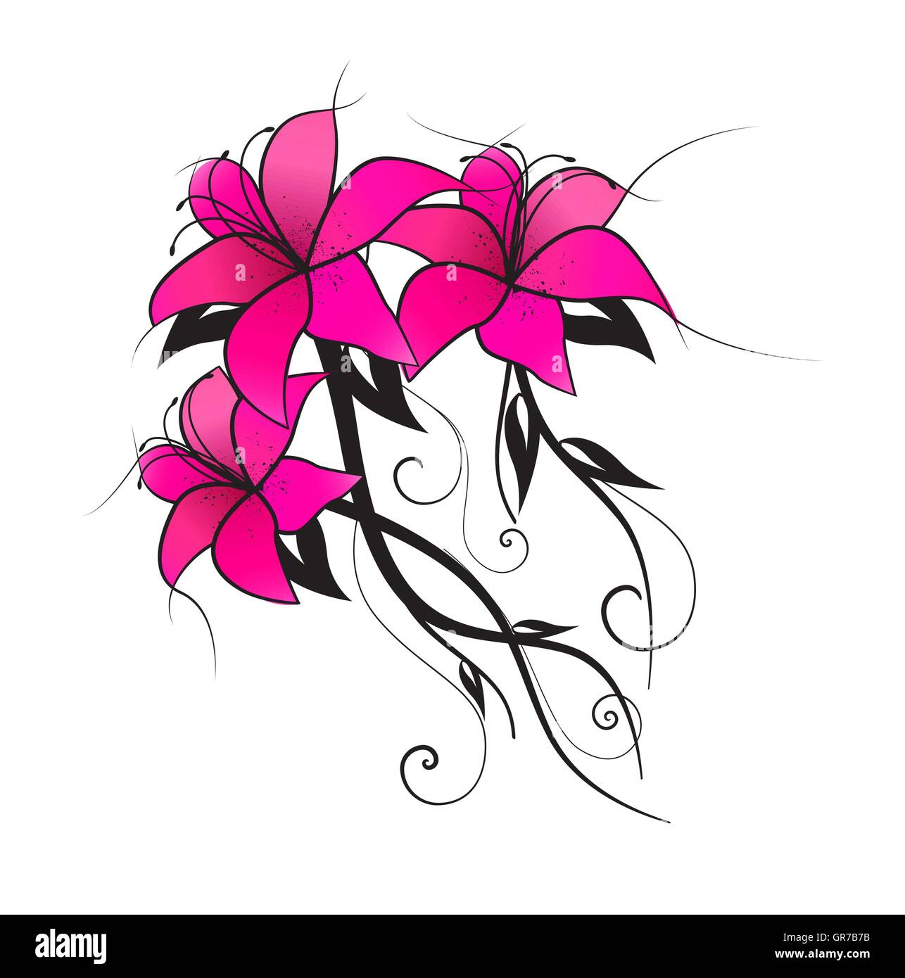 Isolated pink lilly flower Stock Vector Images - Alamy