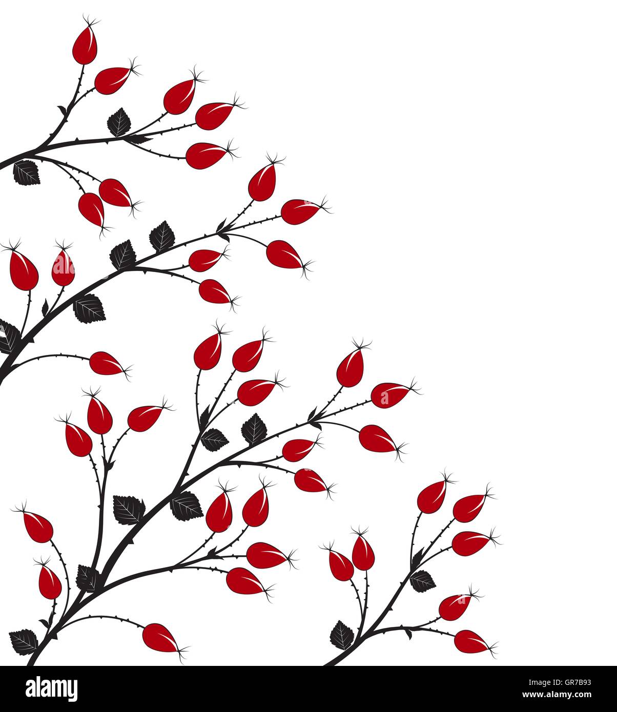 Rose tea natural flower Stock Vector Images - Alamy