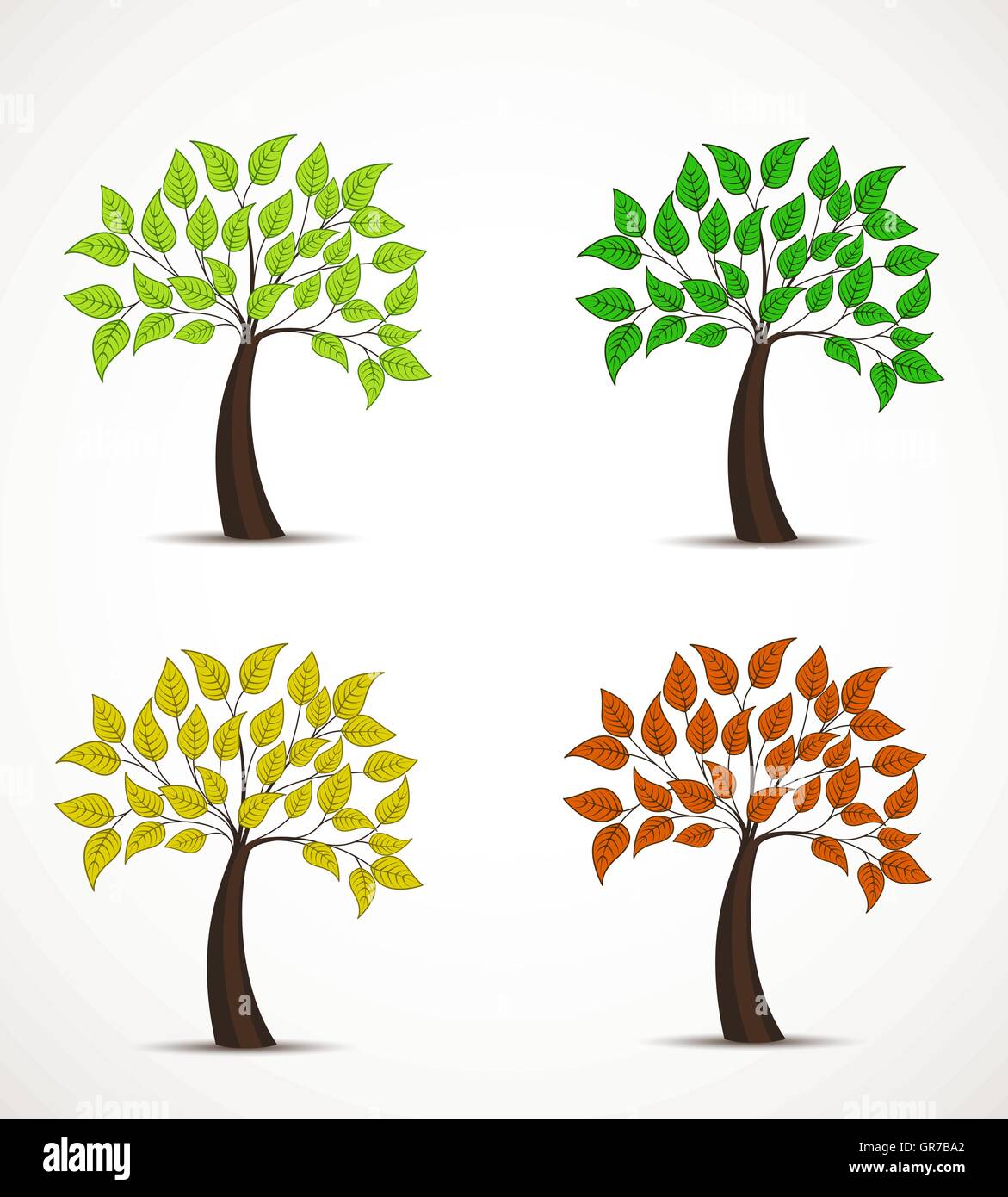 Orange blossom tree Stock Vector Images - Alamy