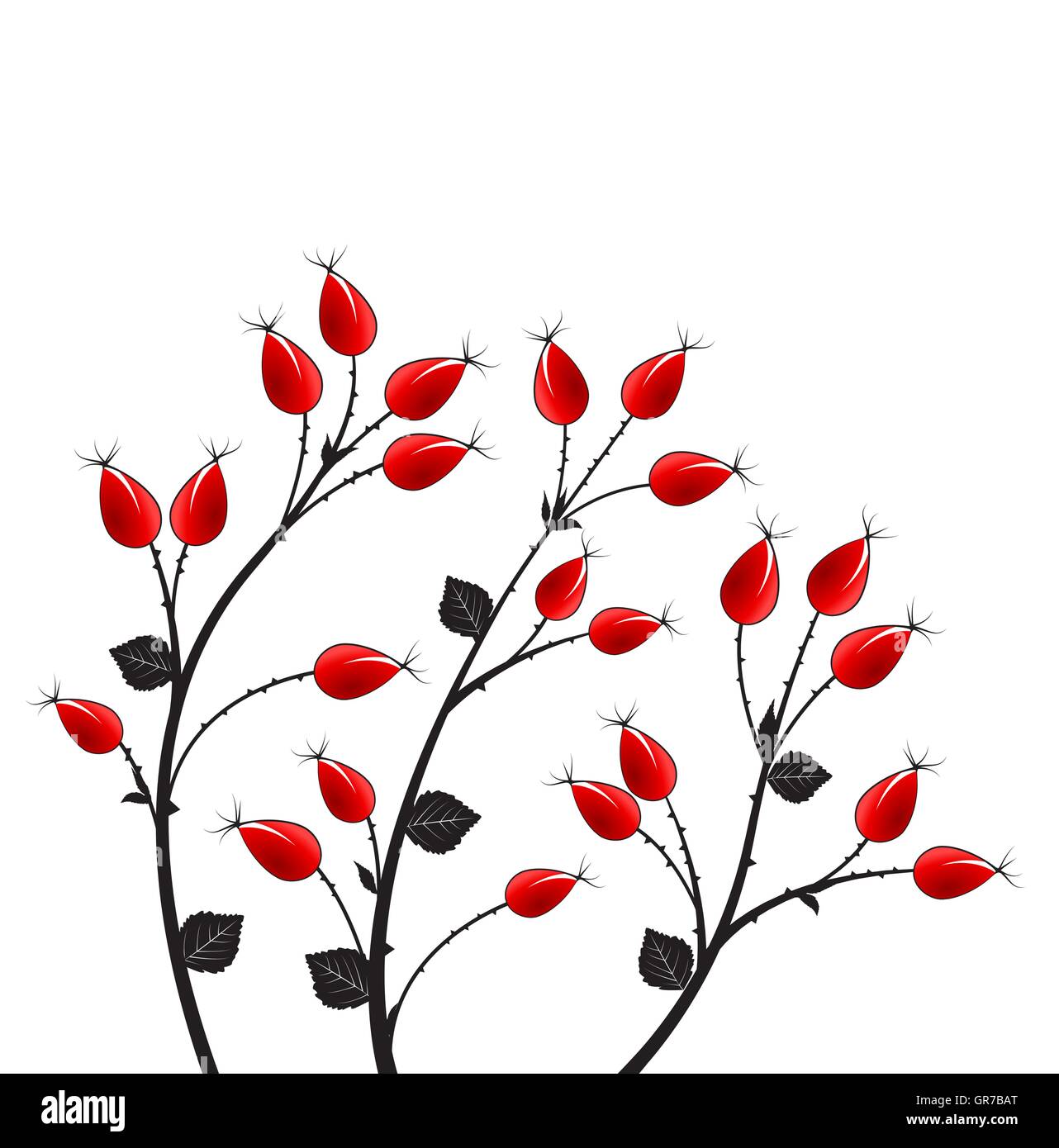 Wild rose bush isolated Stock Vector Images - Alamy