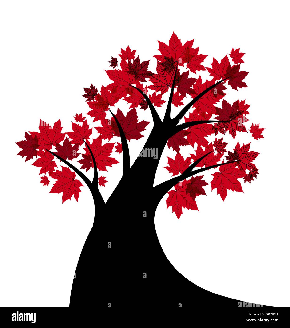 Vector maple tree Stock Vector Image & Art - Alamy