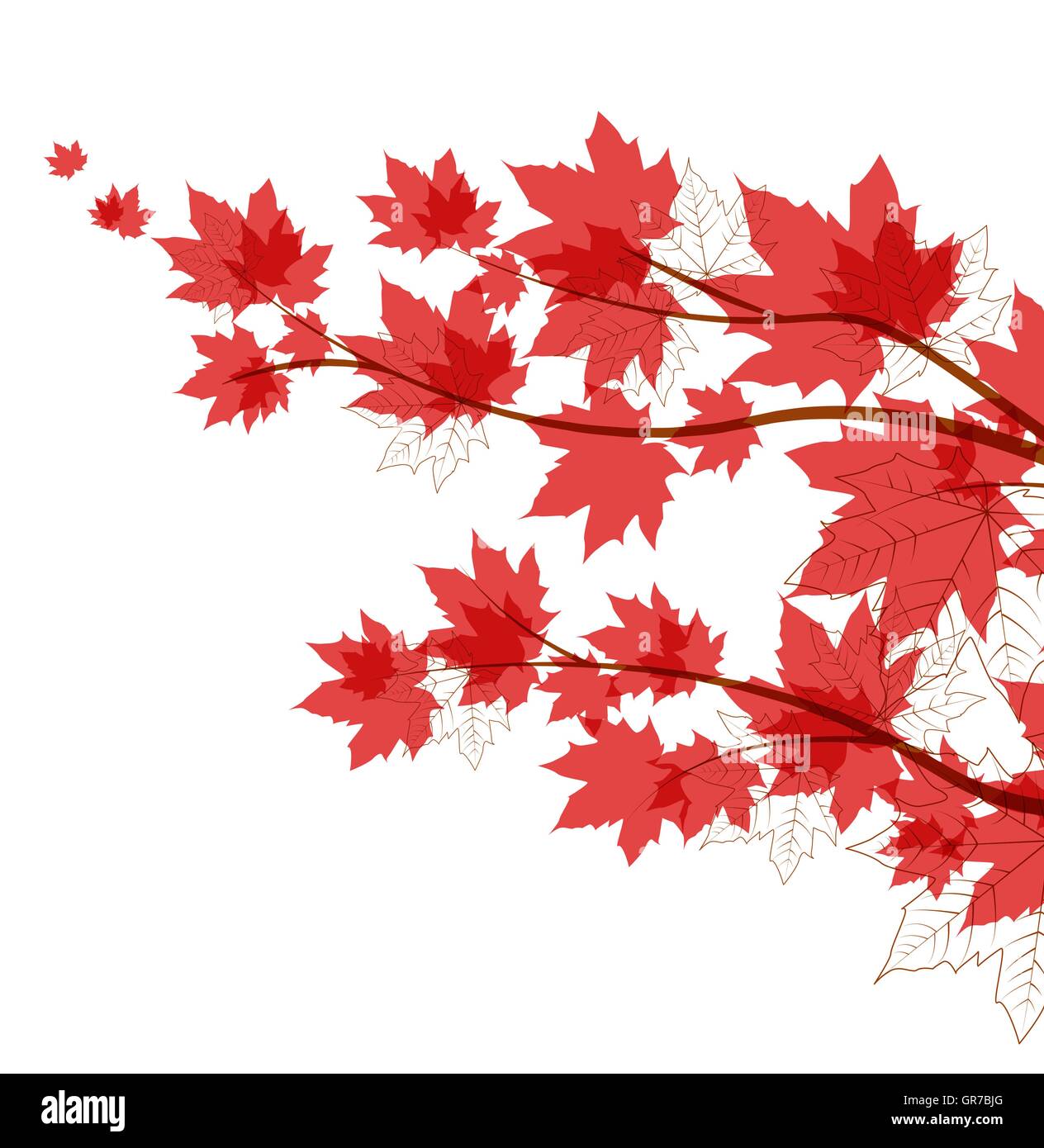 Vector autumn leaves Stock Vector Image & Art - Alamy