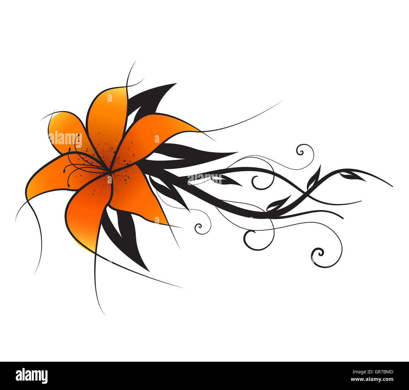 Vector orange lily Stock Vector Image & Art - Alamy