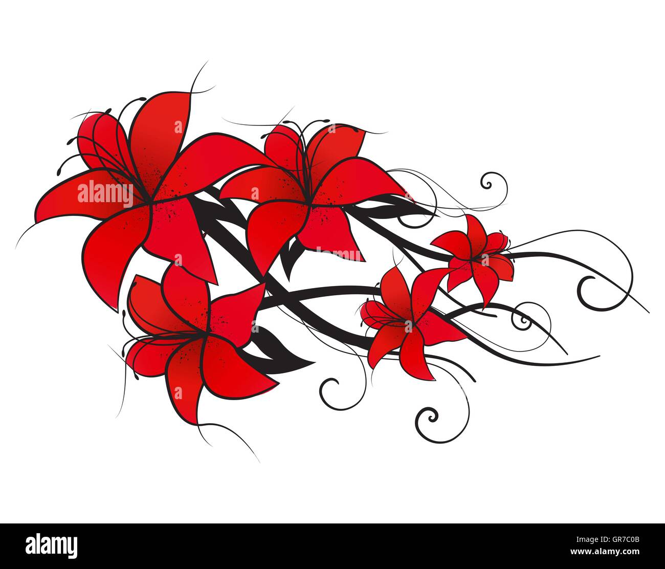 Modern lily garden hi-res stock photography and images - Alamy