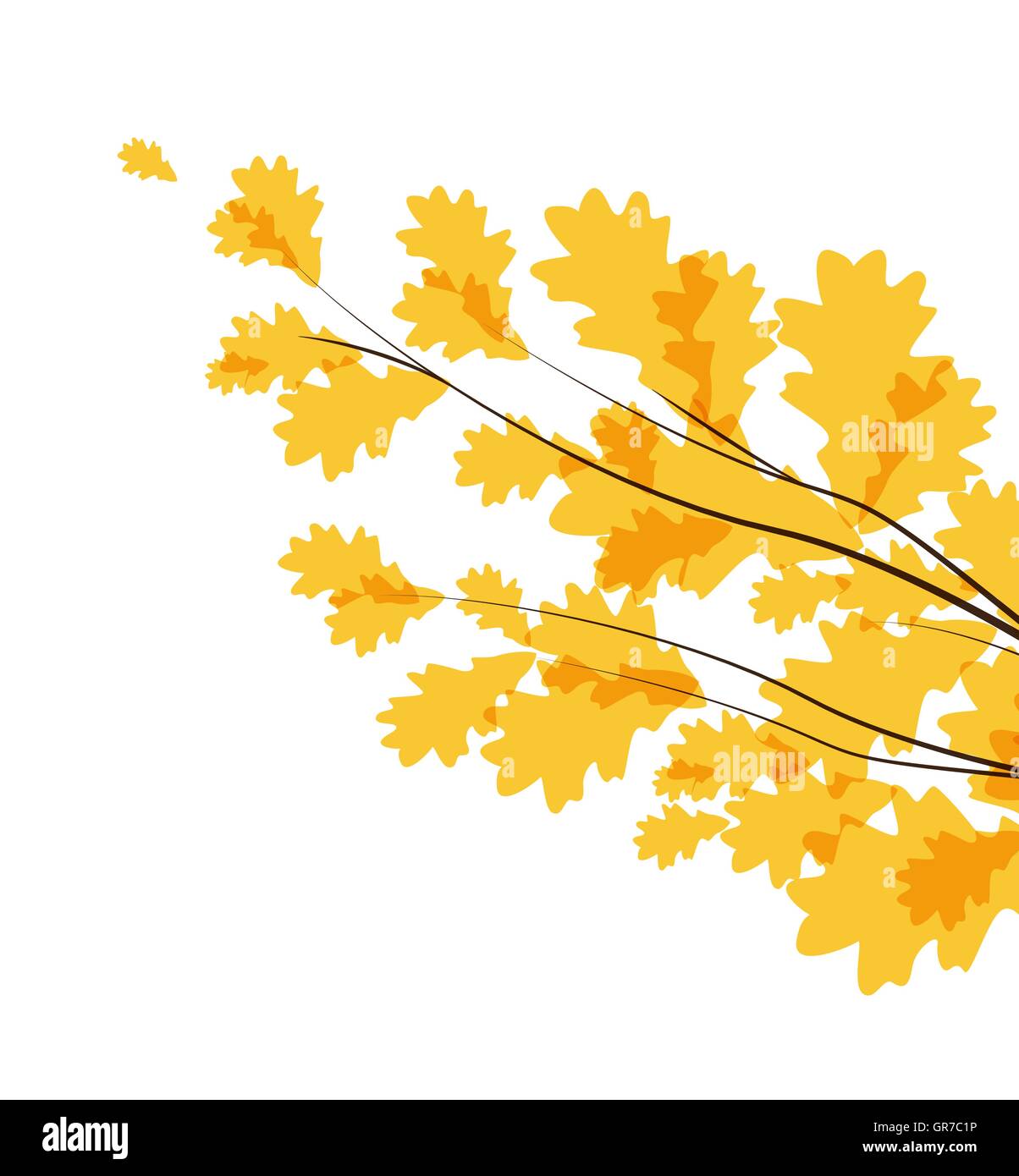 Vector Autumn Leaves Stock Vector Image And Art Alamy