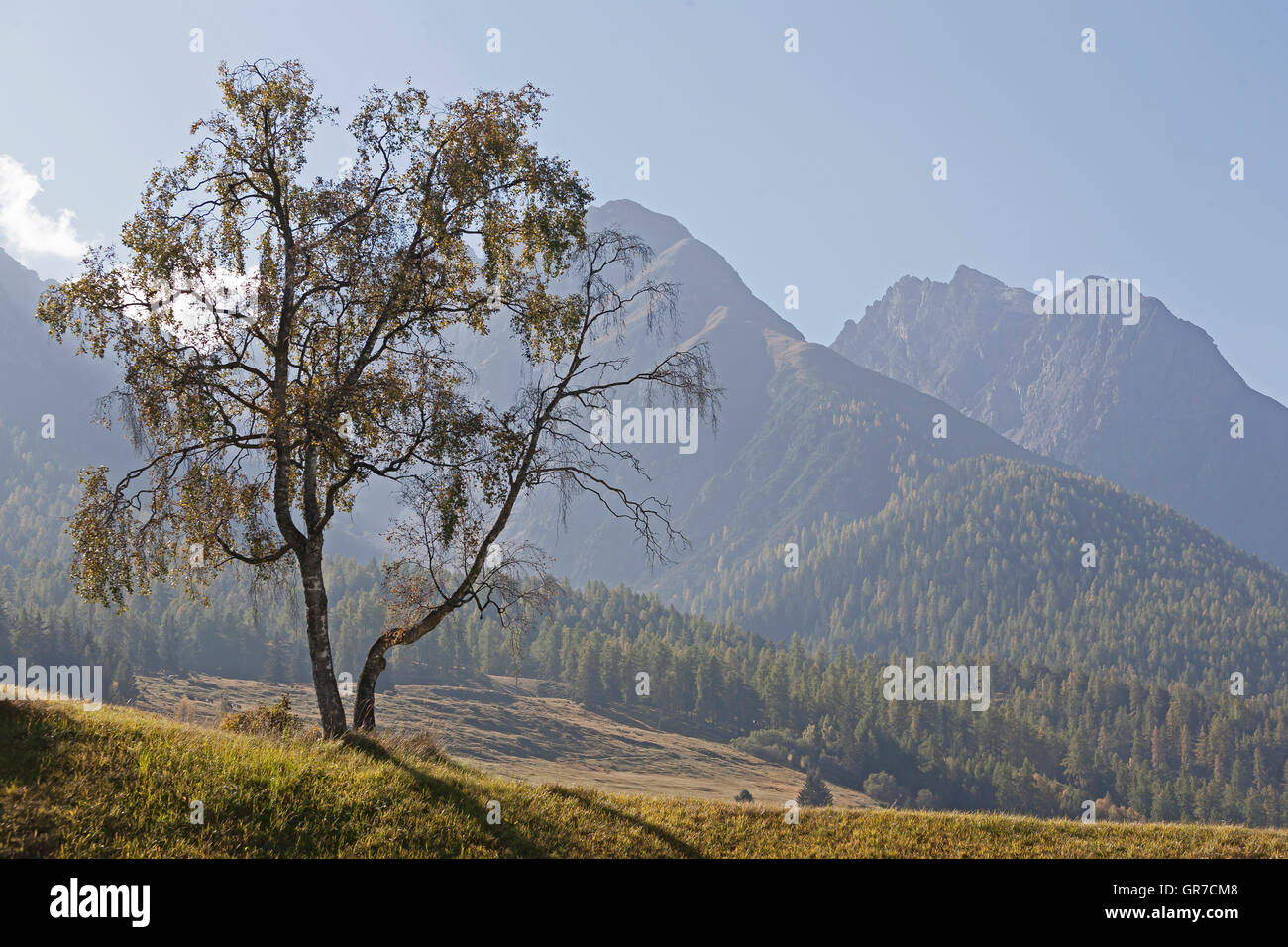 Landscape Near Vulpera In The Lower Engadine Stock Photo - Alamy