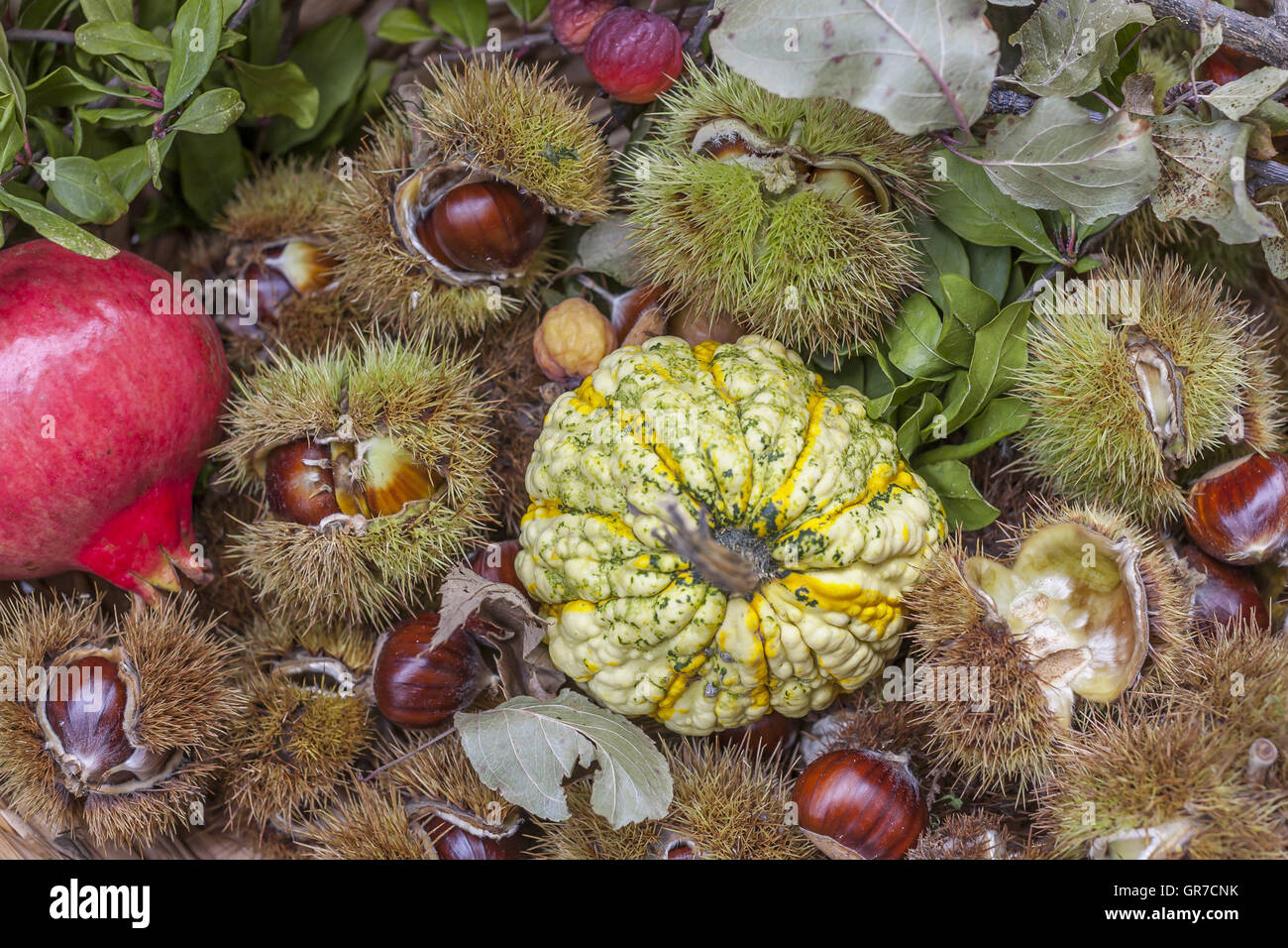 Collection Of Autumnal Fruits Stock Photo - Alamy