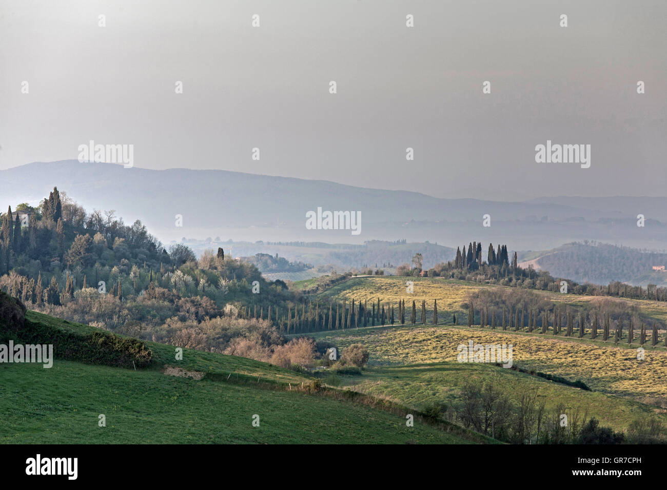 Early Morning In Typical Tuscany Landscape Stock Photo - Alamy