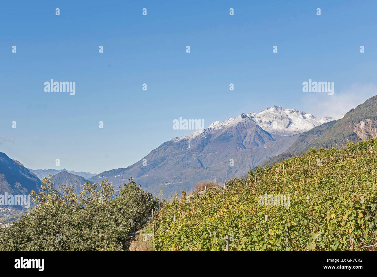 Vineyard snowy mountains hi-res stock photography and images - Alamy
