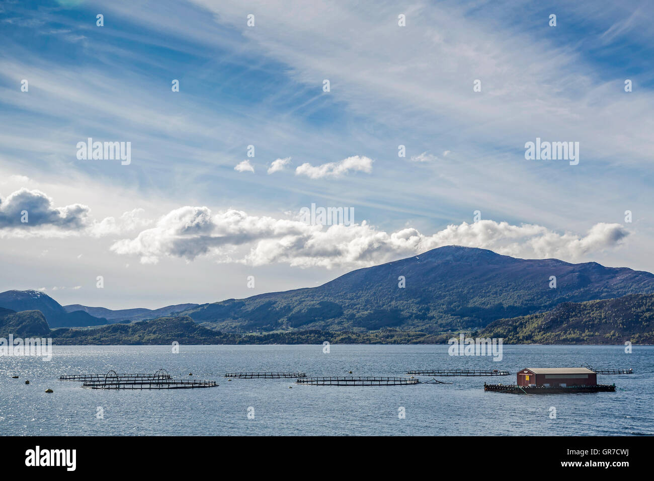 The Norwegian Aquaculture Is Often Based On Net Cages In The Open Sea ...
