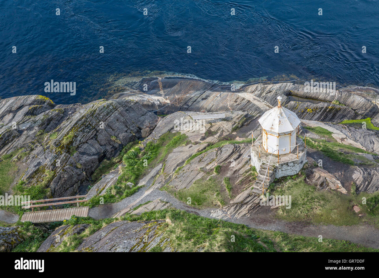 Seafaring bird hi-res stock photography and images - Alamy