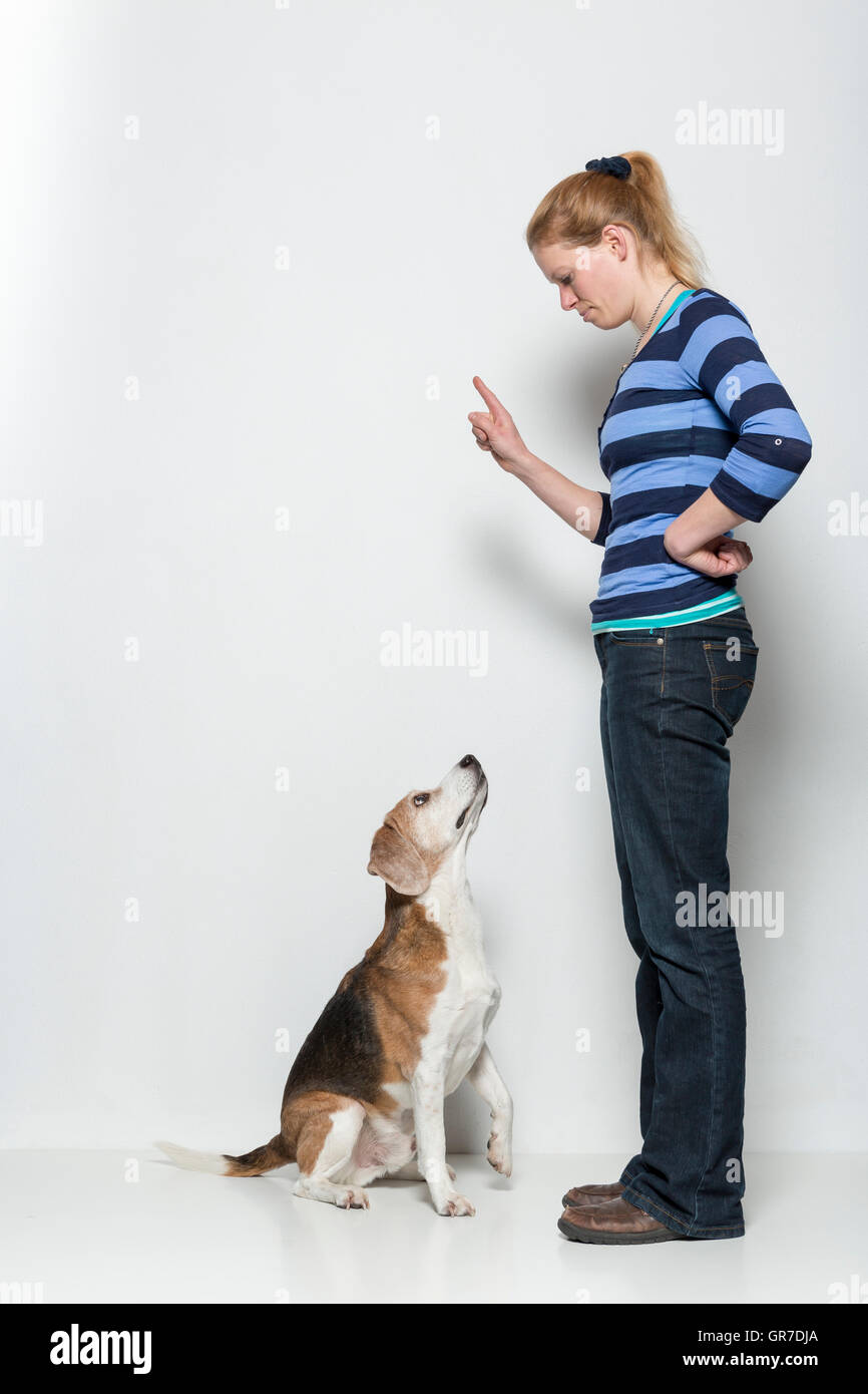 Dog controls hi-res stock photography and images - Alamy