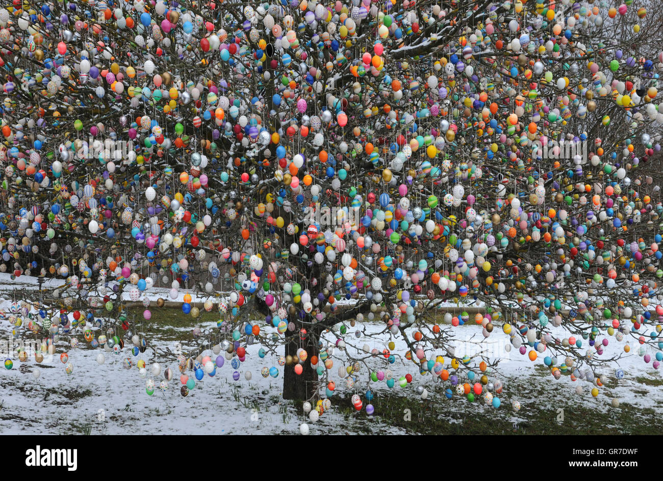Blown eggs hi-res stock photography and images - Alamy