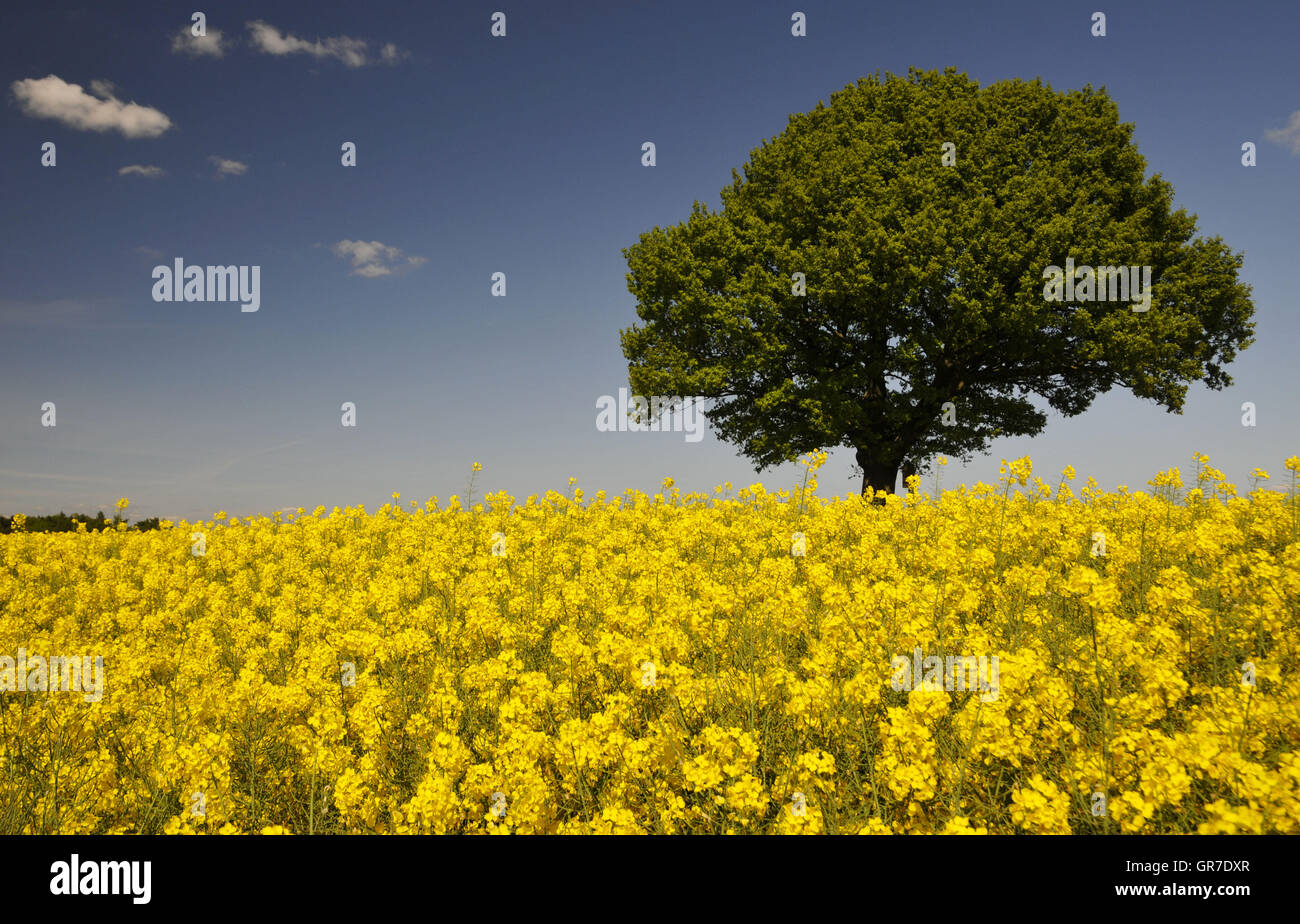 Peace environment hi-res stock photography and images - Alamy