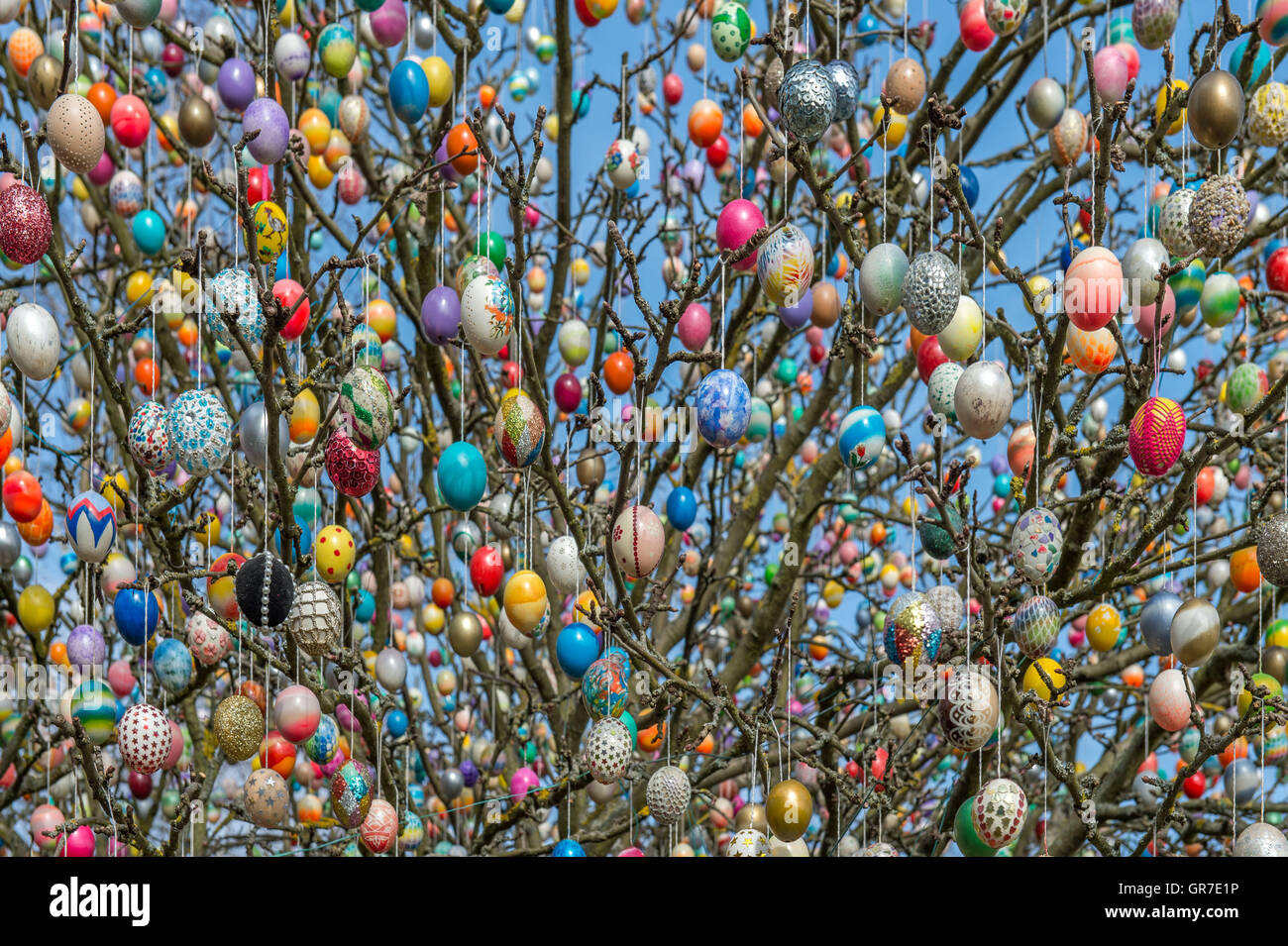 Saalfeld eggs hi-res stock photography and images - Alamy