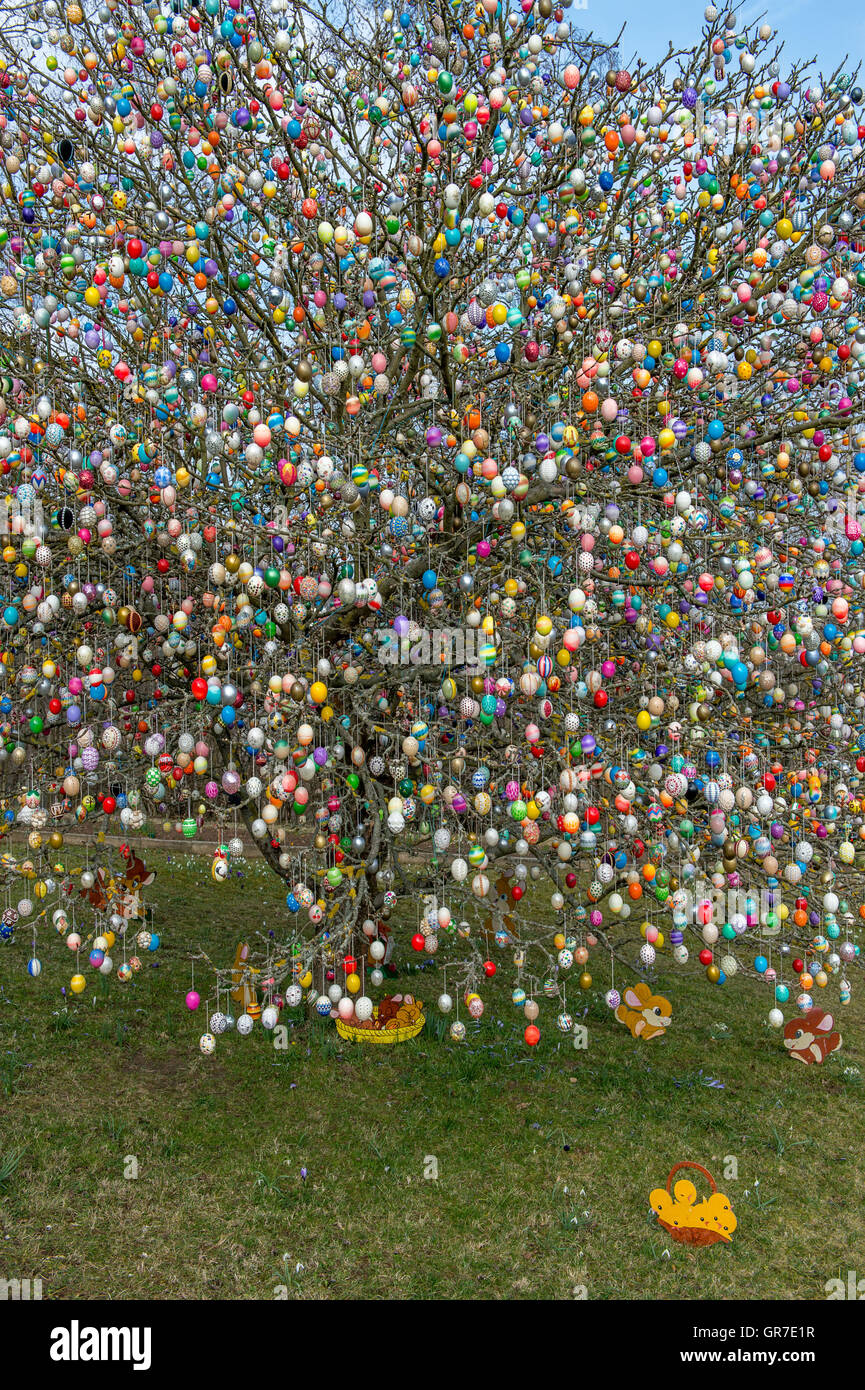 Blown eggs hi-res stock photography and images - Alamy