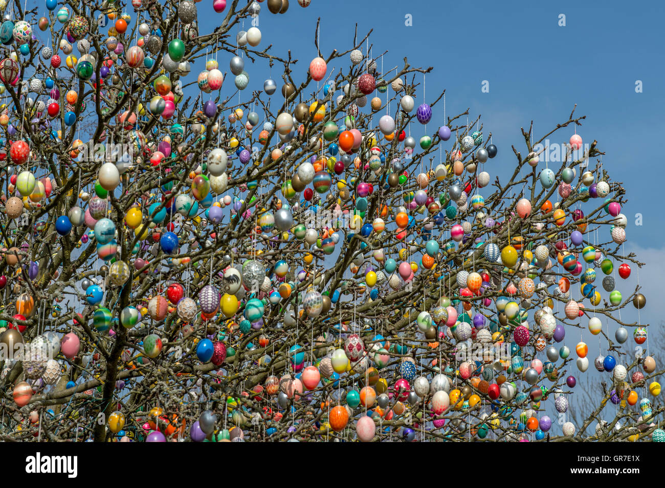 Blown eggs hi-res stock photography and images - Alamy