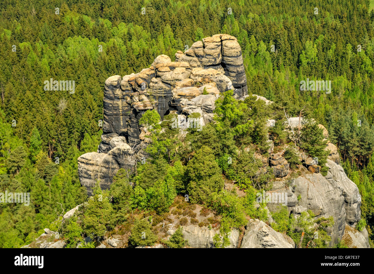 Saxon switzerland trees hi-res stock photography and images - Alamy