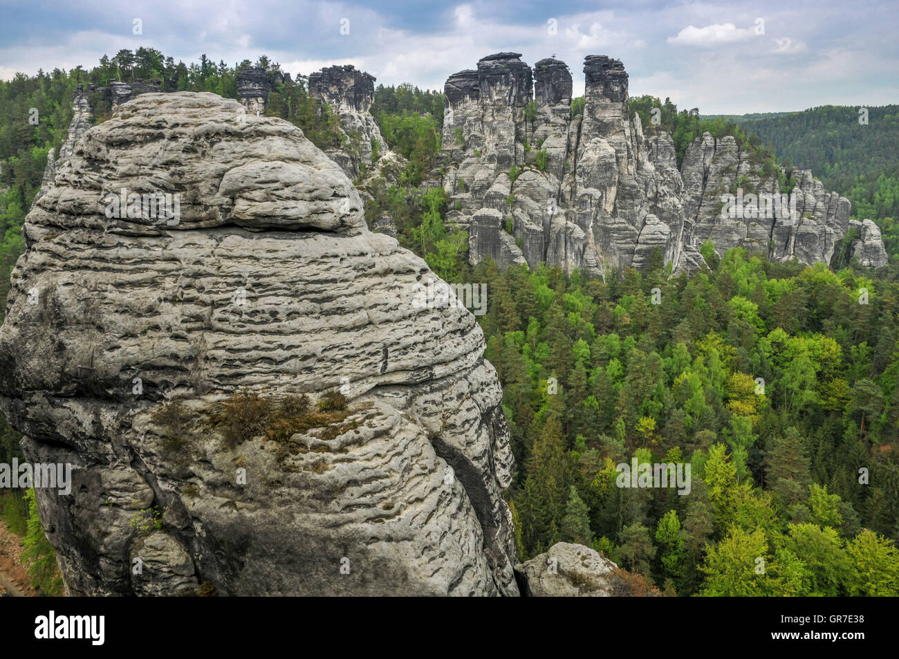 Saxon switzerland trees hi-res stock photography and images - Alamy