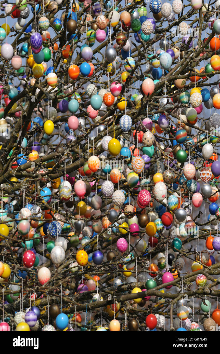 Easter egg tree germany hi-res stock photography and images - Alamy