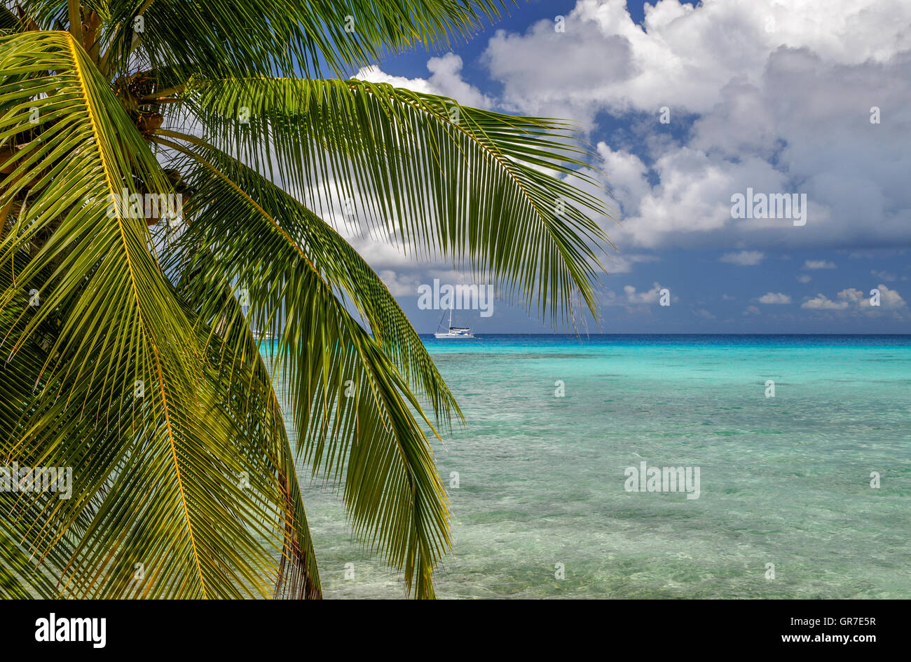 Beach holiday hi-res stock photography and images - Alamy