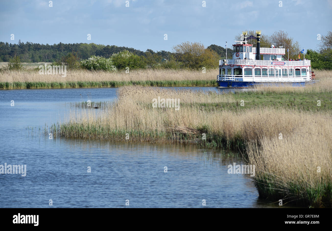 Cruise On The Prerow Power Stock Photo - Alamy