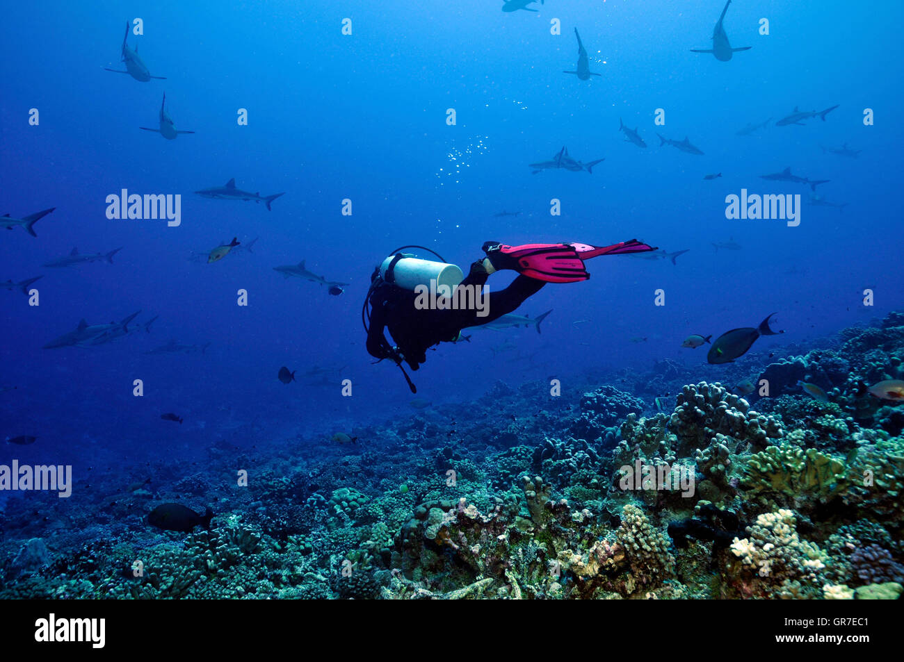 Man diving in ocean hi-res stock photography and images - Alamy