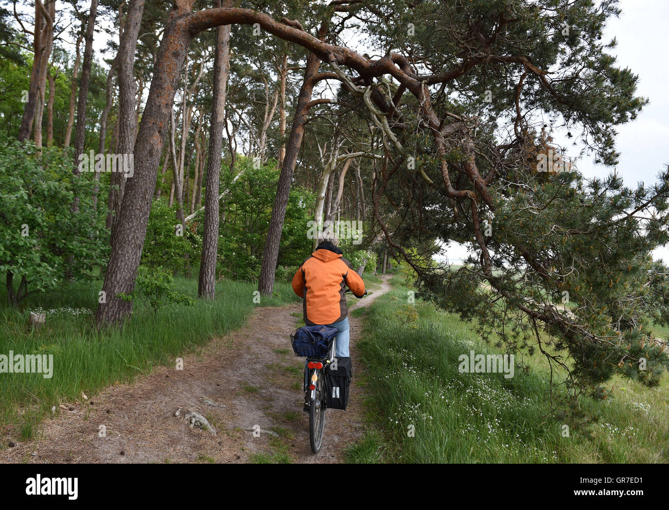 Tour wood hi-res stock photography and images - Alamy