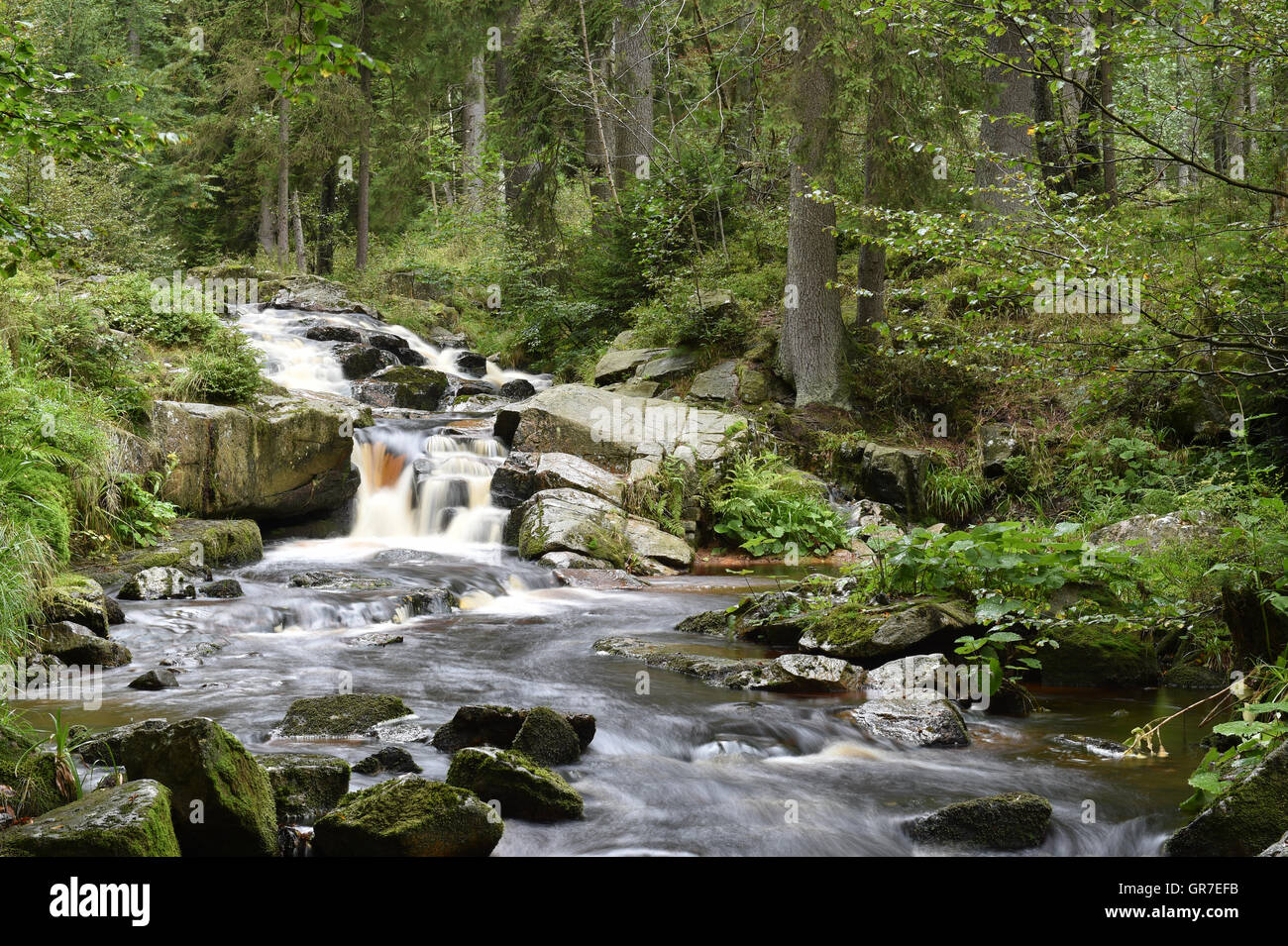 Bach creek hi-res stock photography and images - Alamy