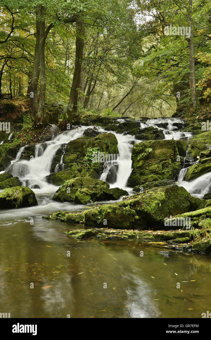 Selke river hi-res stock photography and images - Alamy