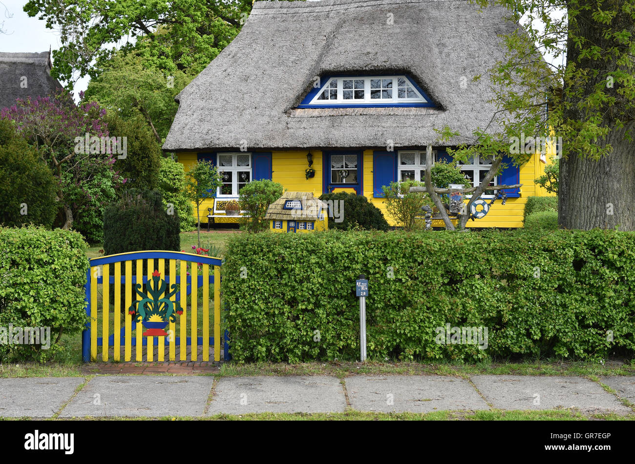 House In Born Stock Photo - Alamy