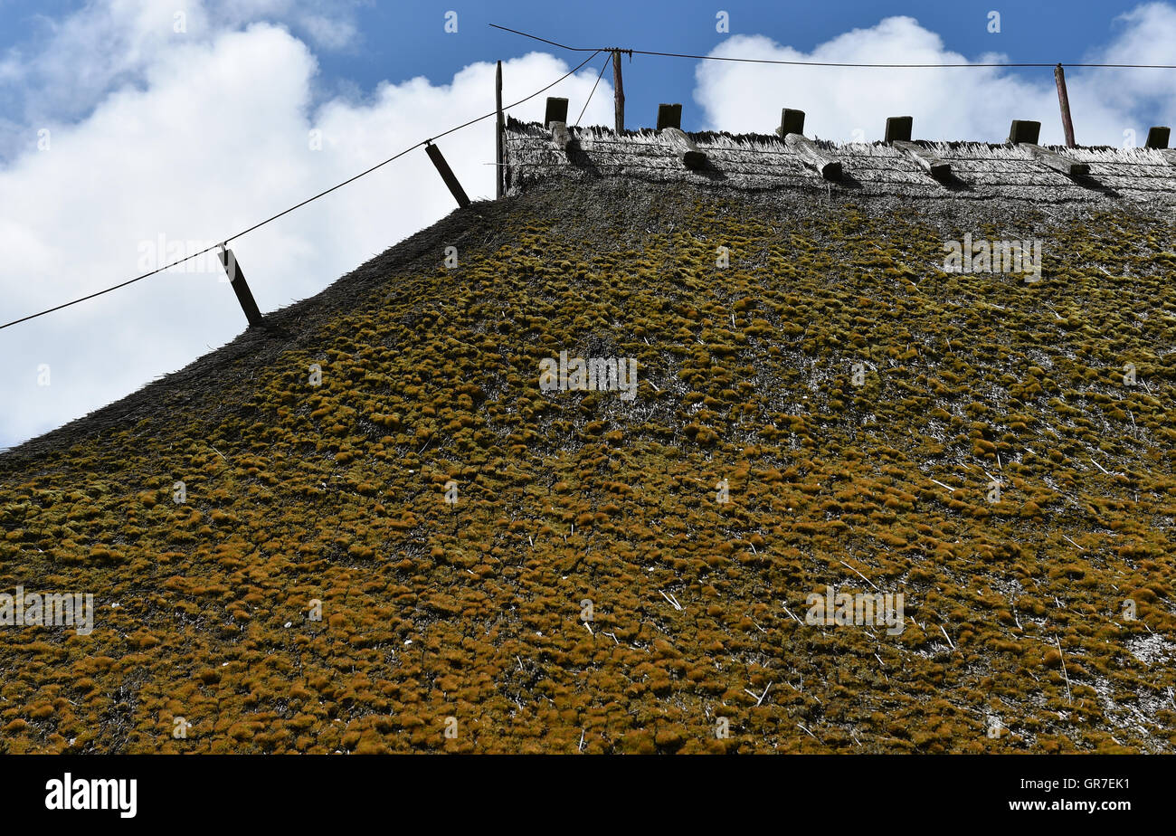 Gable thatch roof hi-res stock photography and images - Alamy