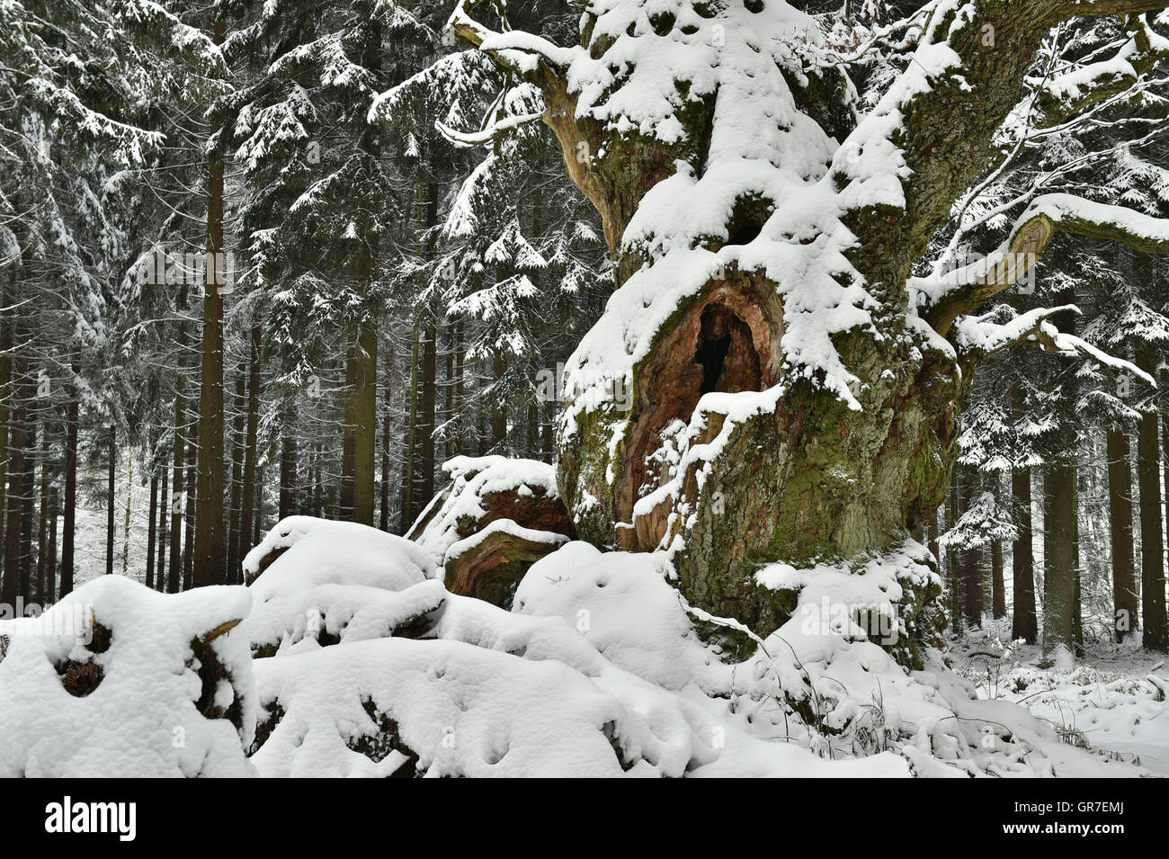 Sick in winter cold hi-res stock photography and images - Alamy