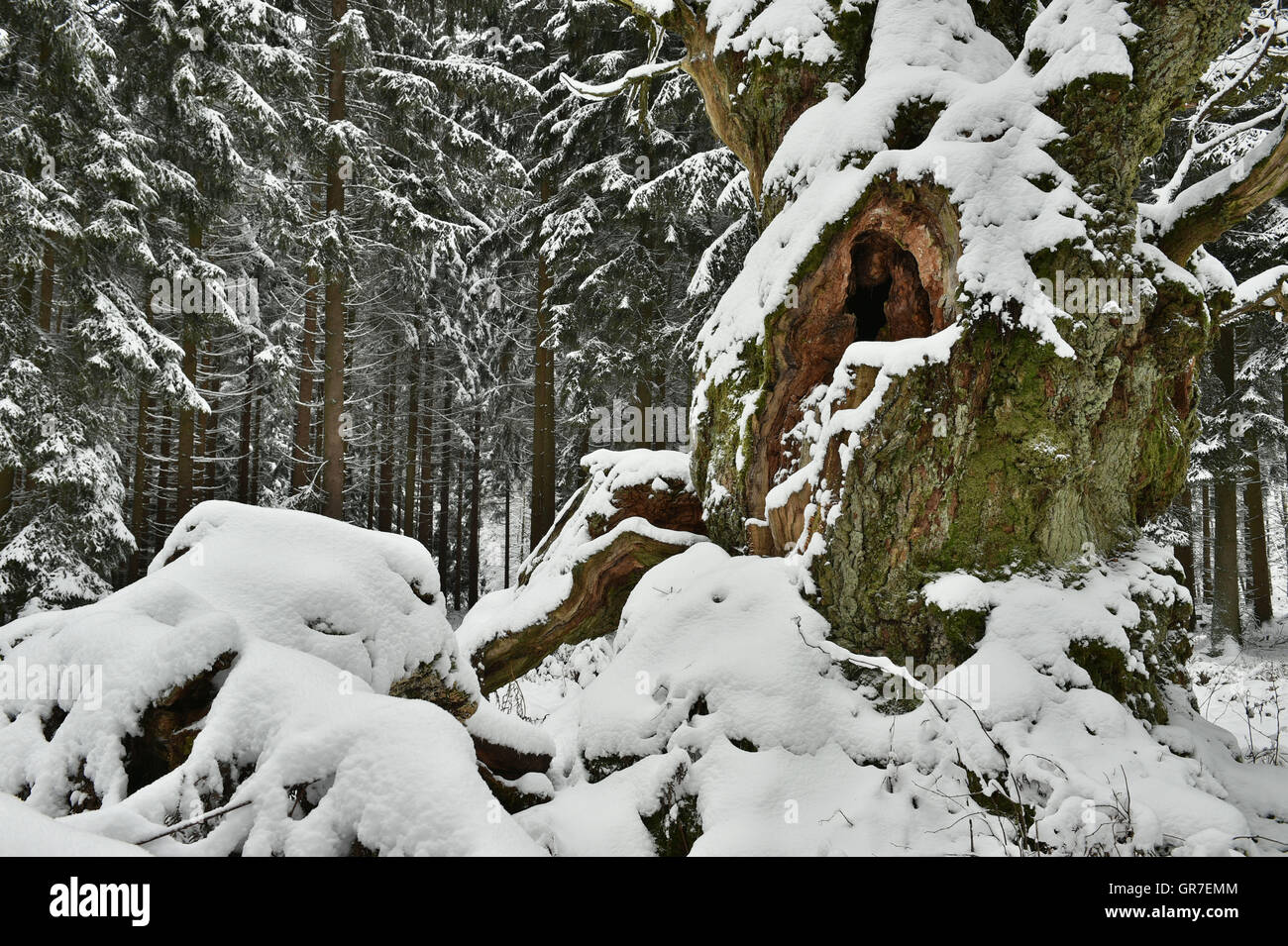Sick in winter cold hi-res stock photography and images - Alamy