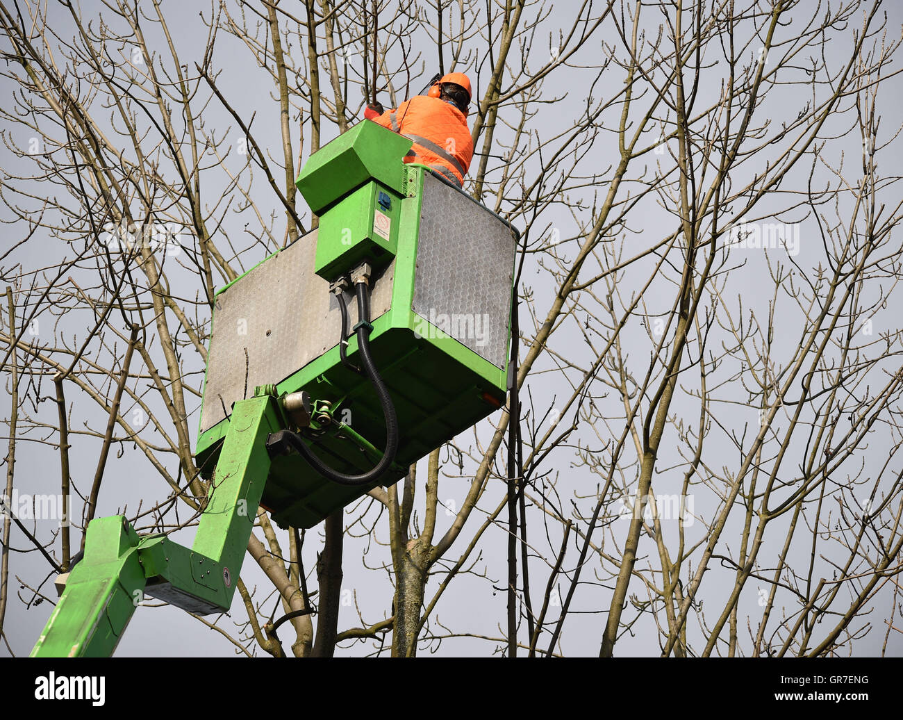 Tree cutting hi-res stock photography and images - Alamy