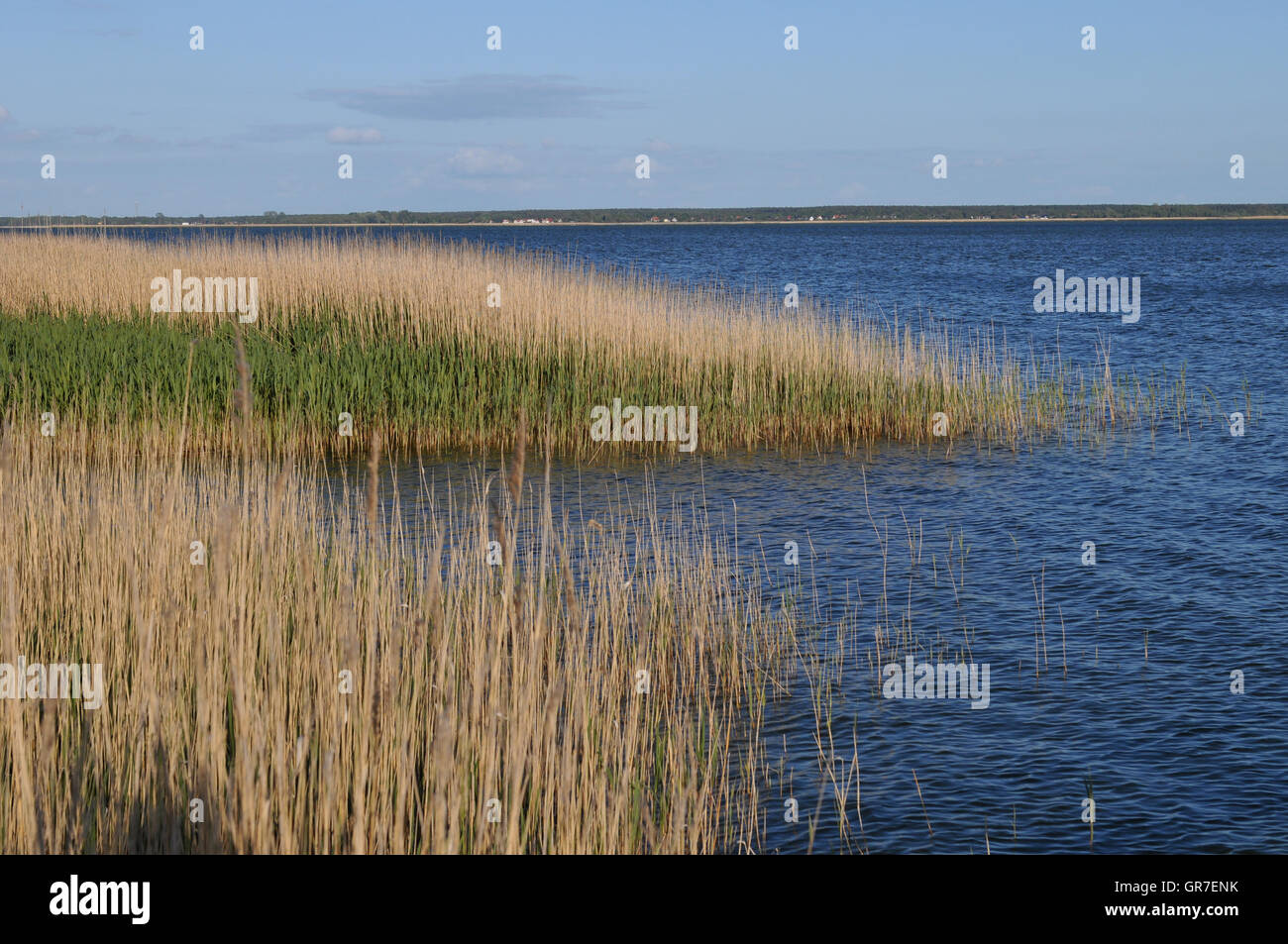 Bodden landscape national park hi-res stock photography and images - Alamy