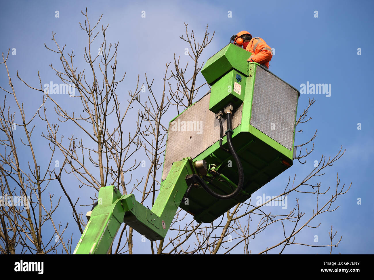 Cutting tree hi-res stock photography and images - Alamy