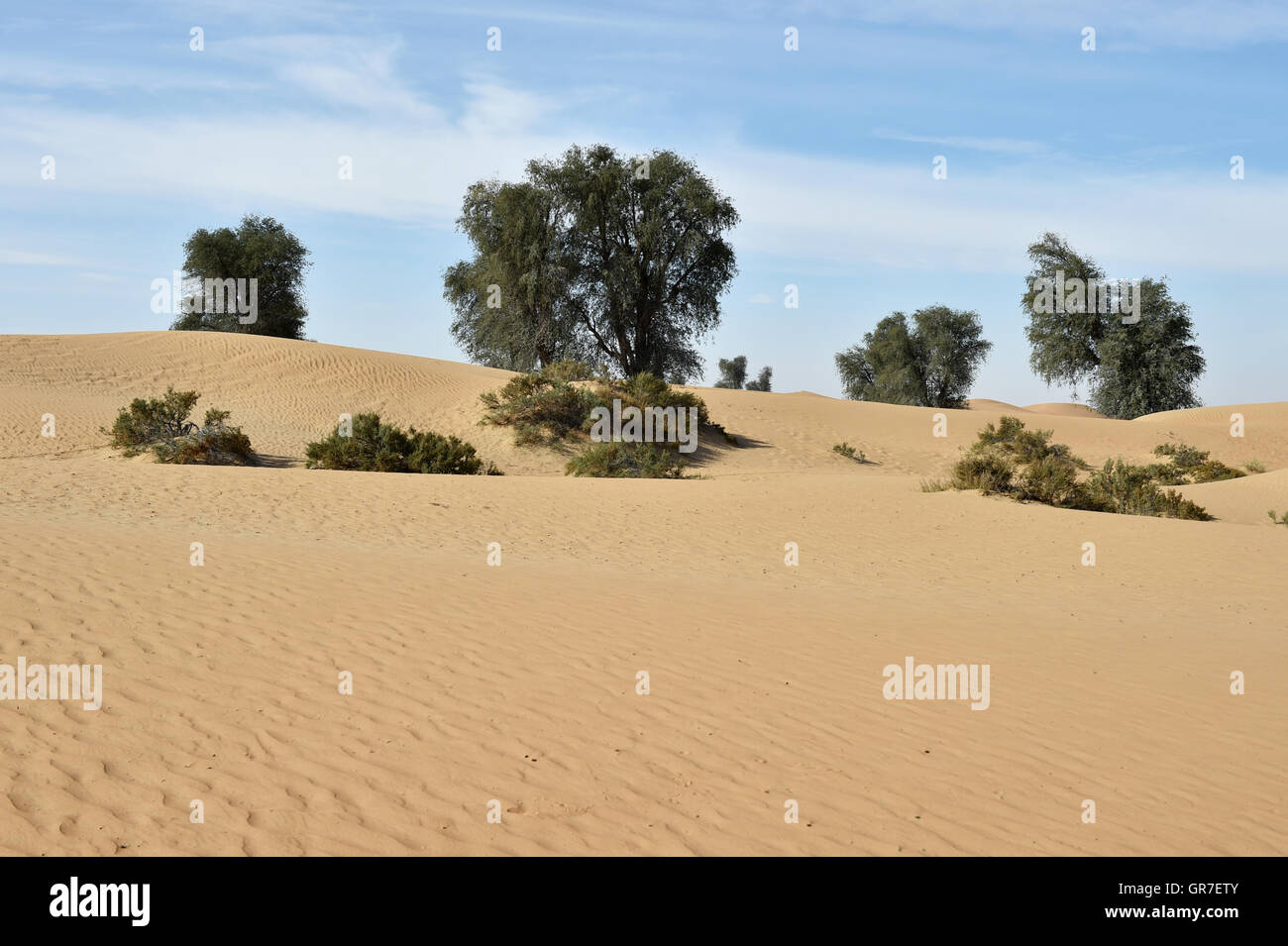 Semi-Desert In Dubai Stock Photo - Alamy