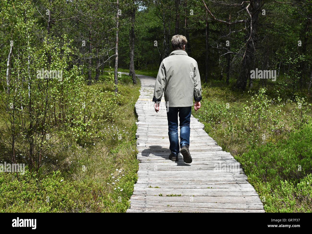 Footbridge in moor hi-res stock photography and images - Alamy