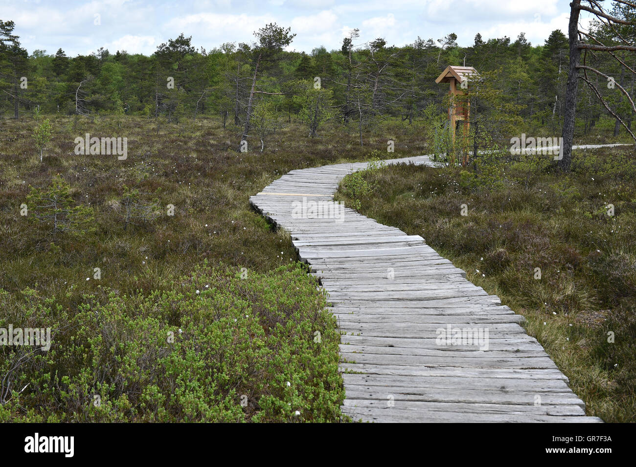 Footbridge in moor hi-res stock photography and images - Alamy