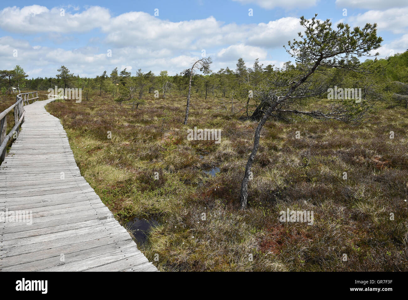 Footbridge in moor hi-res stock photography and images - Alamy