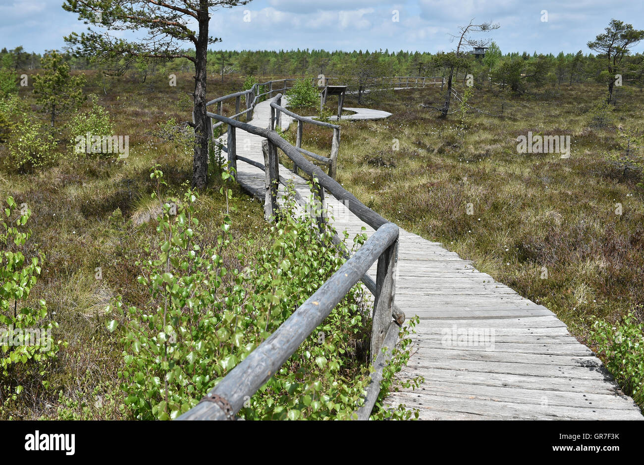 Footbridge in moor hi-res stock photography and images - Alamy