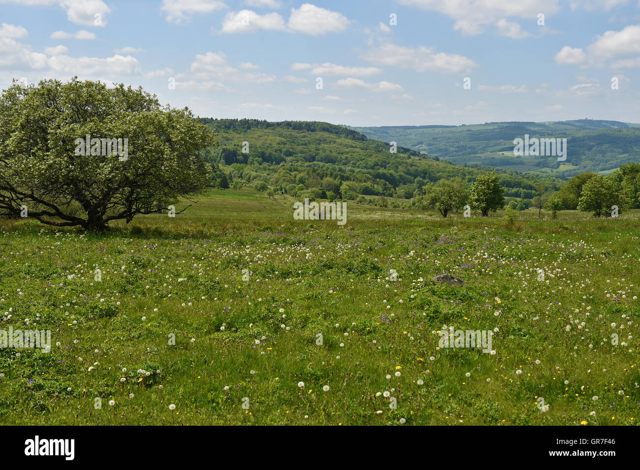Rhon mountains hi-res stock photography and images - Alamy