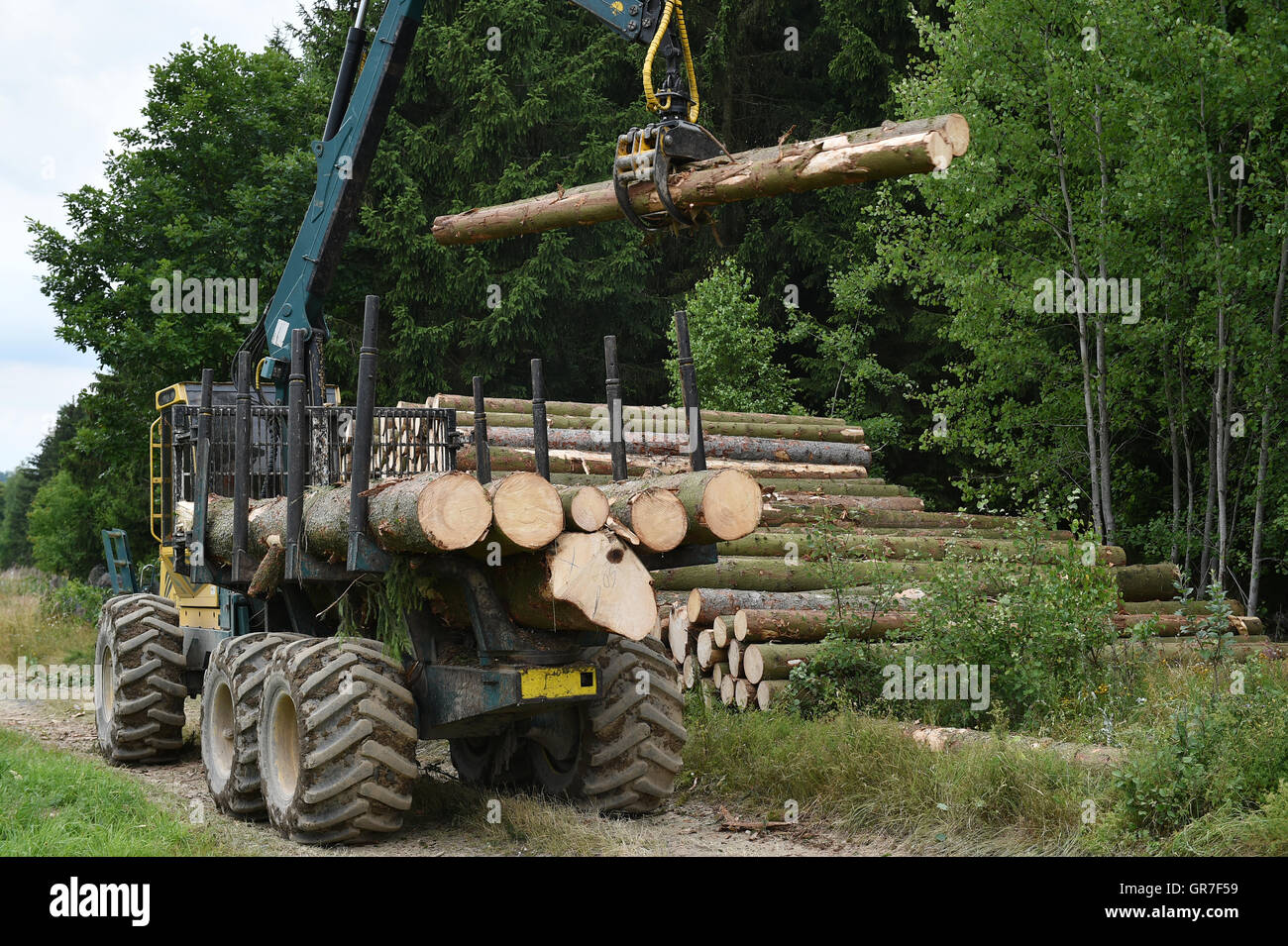 Forestry education hi-res stock photography and images - Alamy