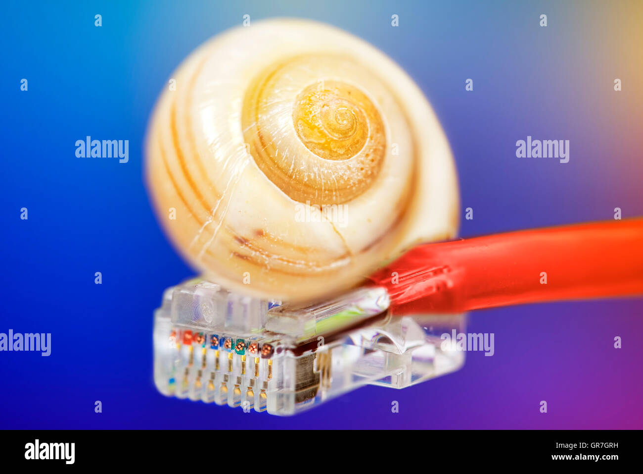 Picture shell hi-res stock photography and images - Alamy