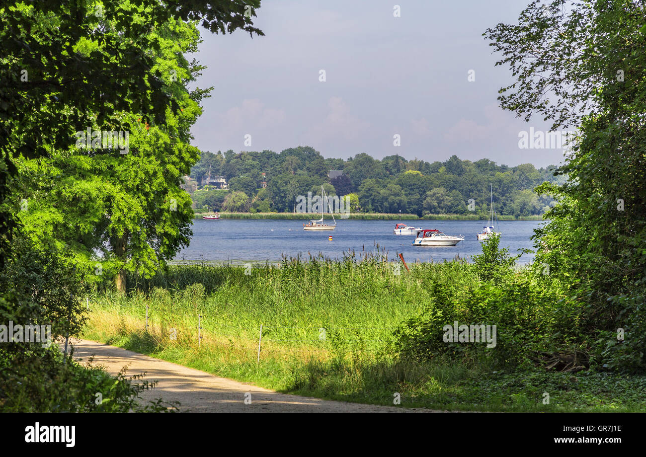 Small Clearing In The Forest Stock Photo - Alamy